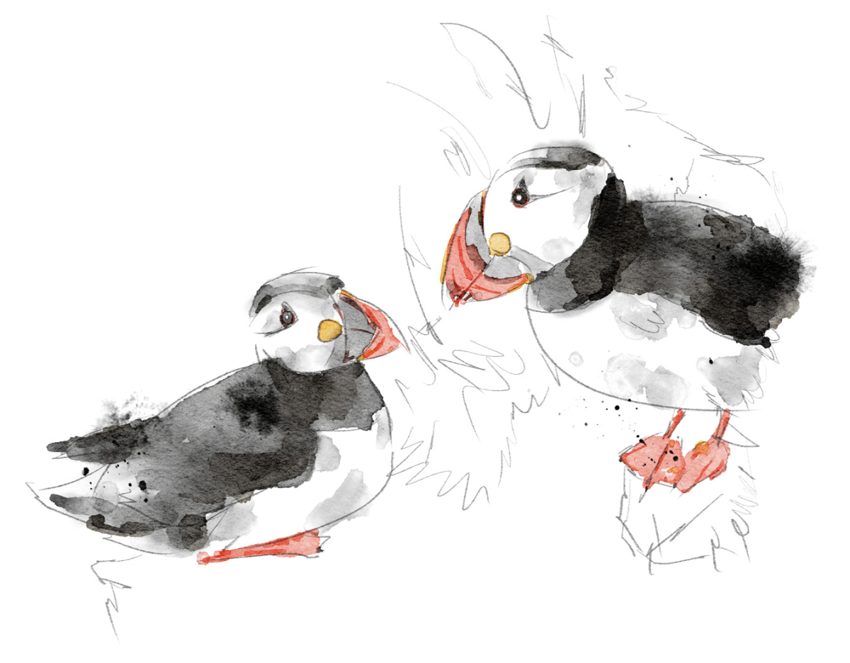 Data Center Migration | Puffin